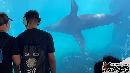 George’s Pass Partnership Helps Make Fresno Chaffee Zoo “A Zoo for ...